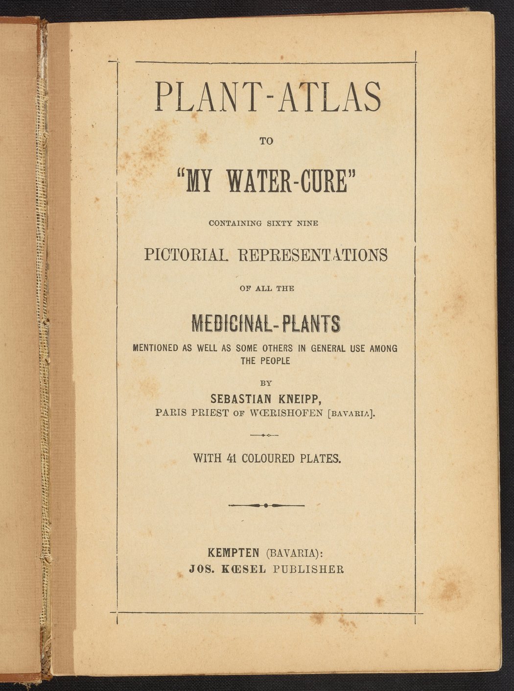 German Naturalist Sebastian Kneipp and the Five Pillar System for ...
